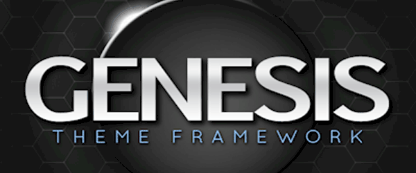 Genesis and Child Theme Overview | BlogAid