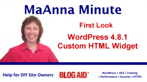 New Custom HTML Text Widget in WordPress 4.8.1 - First Look | BlogAid