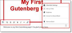 Gutenberg Text Editor Tour | BlogAid