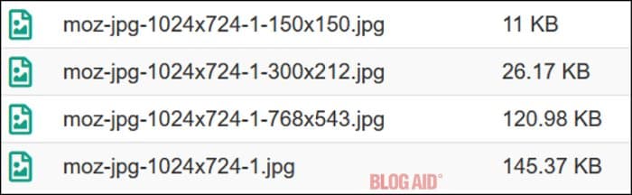 Performance Lab Plugin Image Tests Results | BlogAid