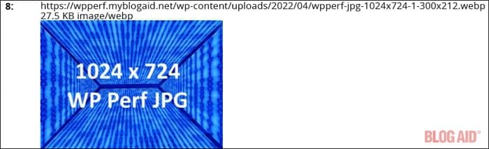Performance Lab Plugin Image Tests Results | BlogAid