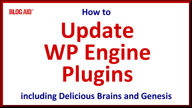 How to Update WP Engine Plugins Including Delicious Brains and Genesis ...